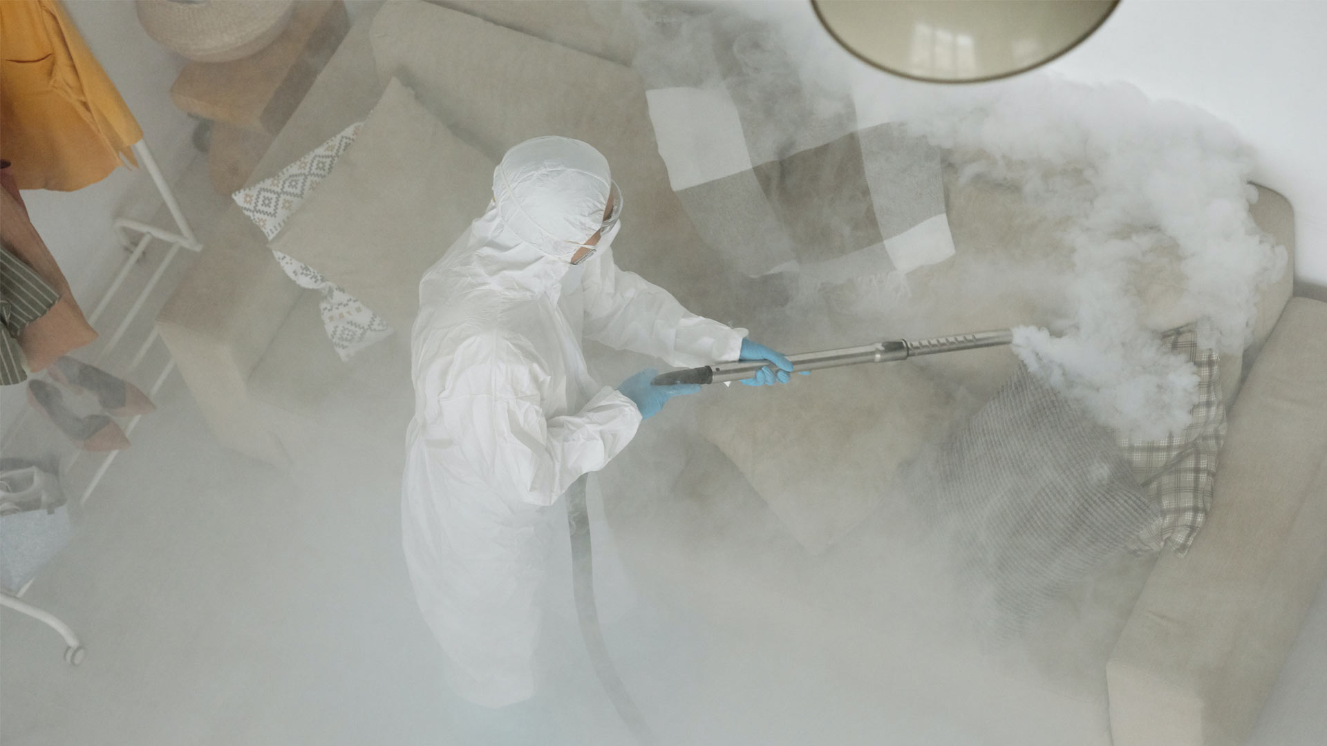 Servicios de Fumigacion y Control de Plagas en Mexico